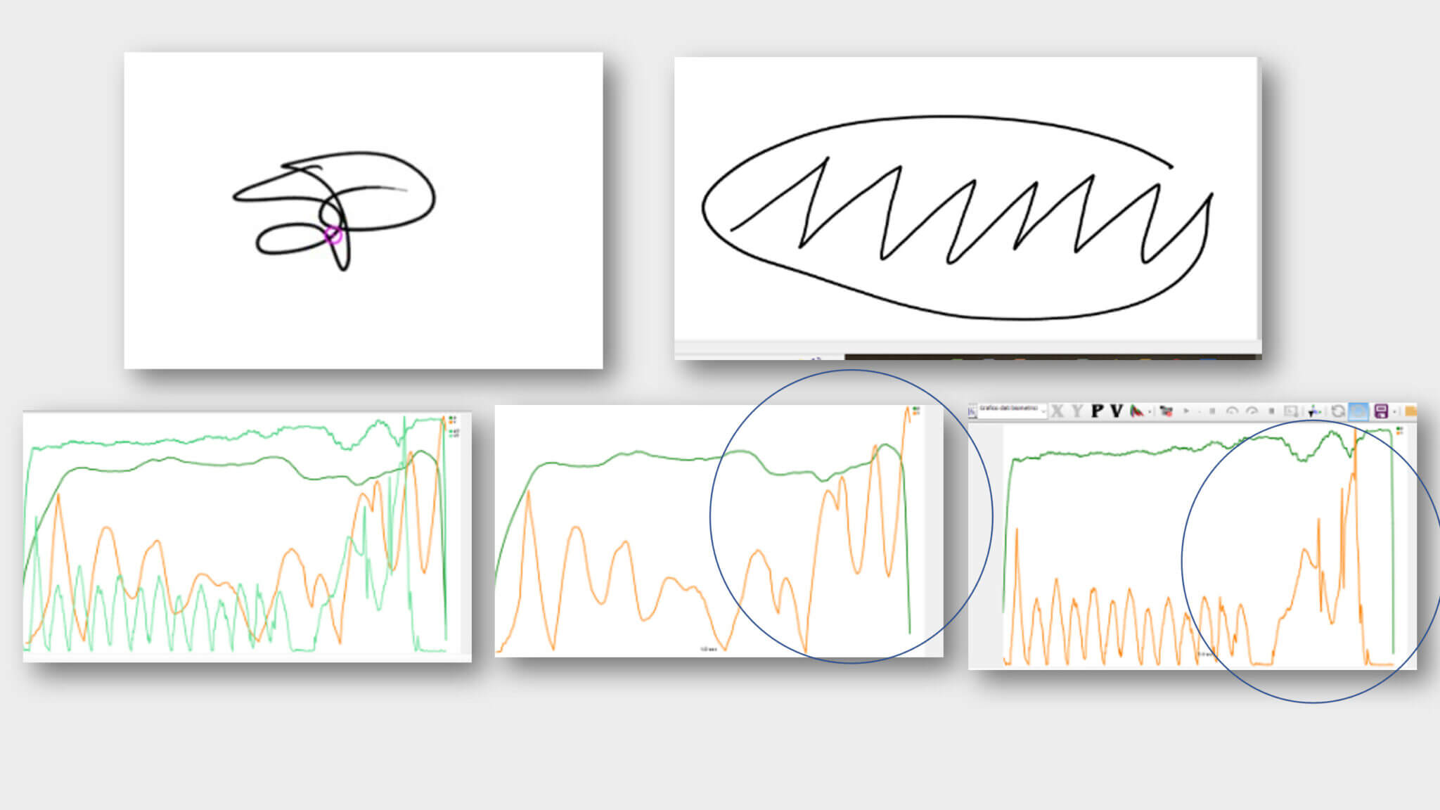 Come identificare un falso documentale: tutti i trucchi del mestiere ...